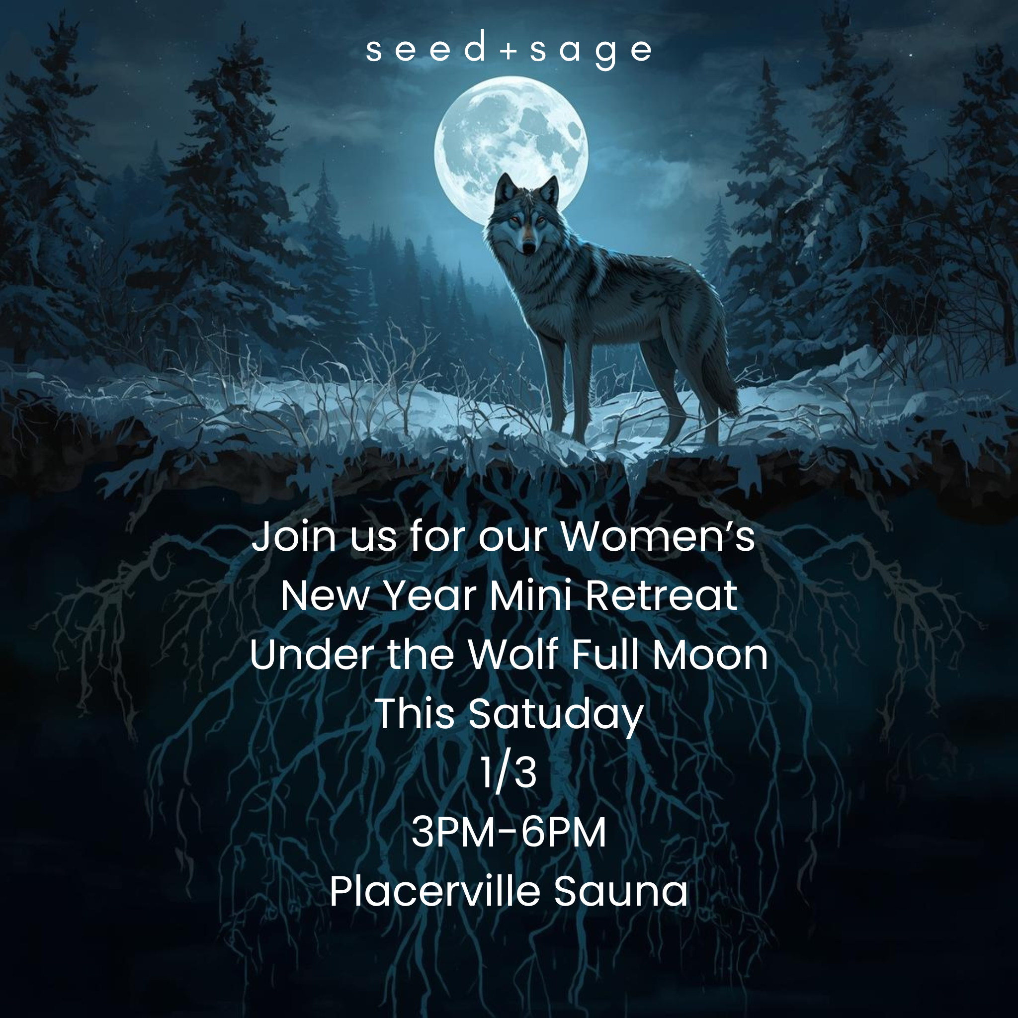 January Updates: Happy New Year, Let’s Slow Down Together! – seed + sage